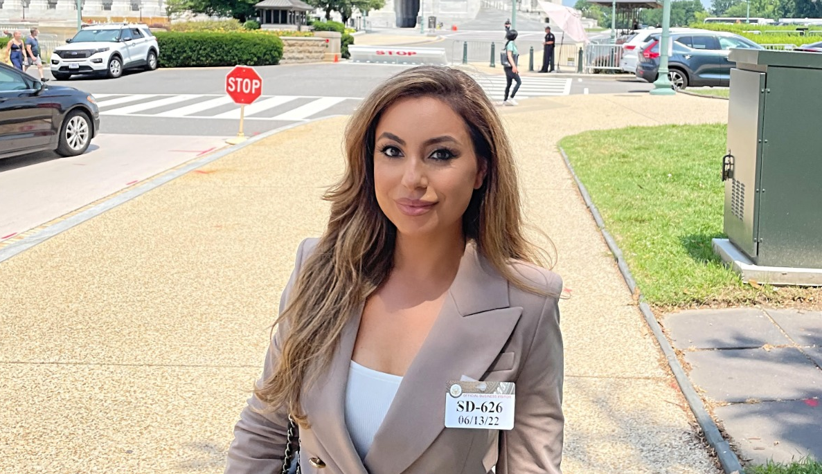 Actress and Activist Uldouz Wallace Went From a Hacking and Leaking ...